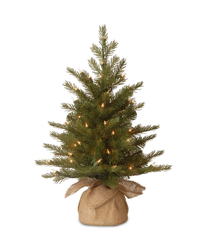 National Tree Company 2' "Feel Real" Nordic Spruce Small Tree in Burlap ...