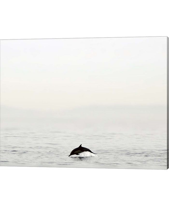Metaverse Dolphin By Toula Mavridou-Messer Canvas Art - Macy's