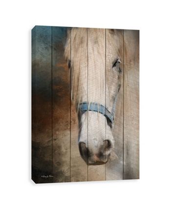 Artissimo Designs Old Gray Mare Printed Canvas - Macy's