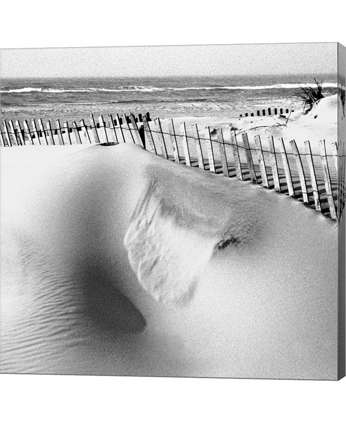 Metaverse Moses Park Dune by Harold Silverman Canvas Art - Macy's