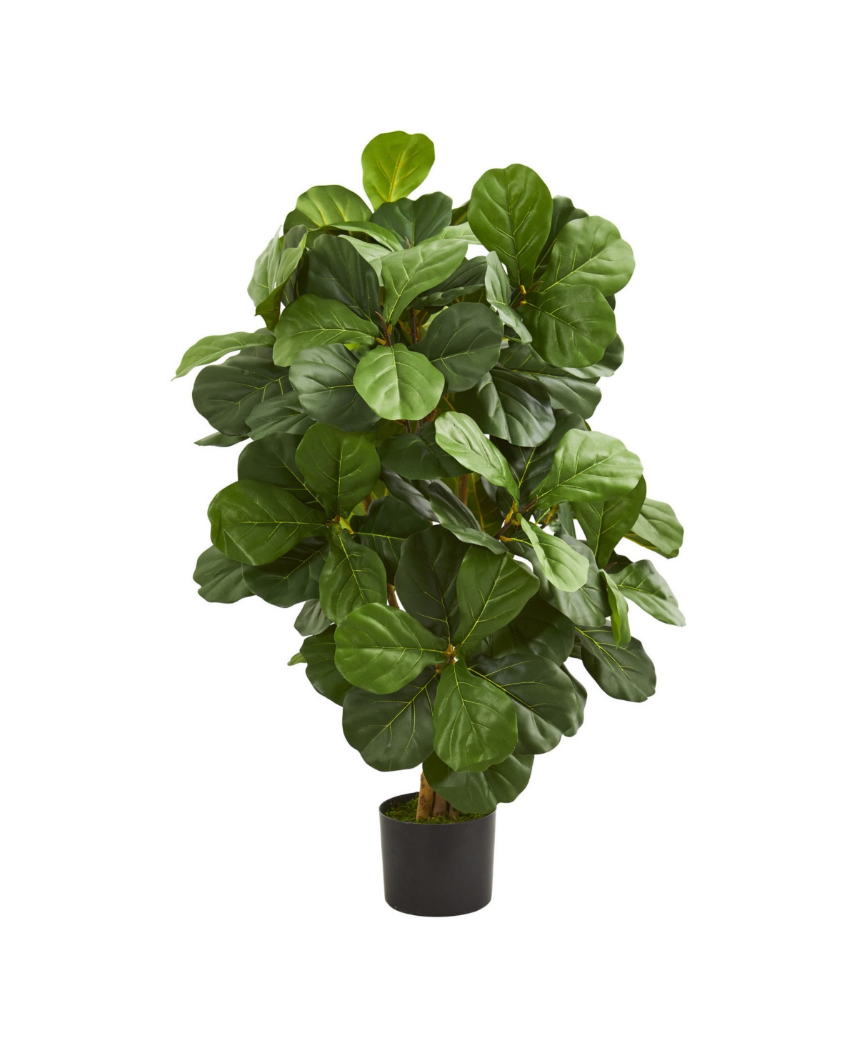 Click here for Nearly Natural 3.5 Fiddle Leaf Artificial Tree - G... prices