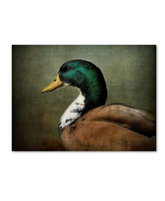 Jai Johnson 'Mallard Duck Portrait' Canvas Art - 19" x 14" x 2" - Macy's