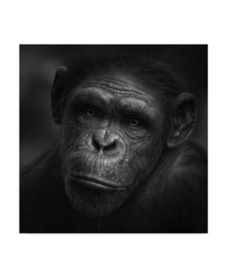 Holger Droste 'No Words' Canvas Art - 35" x 2" x 35" - Macy's