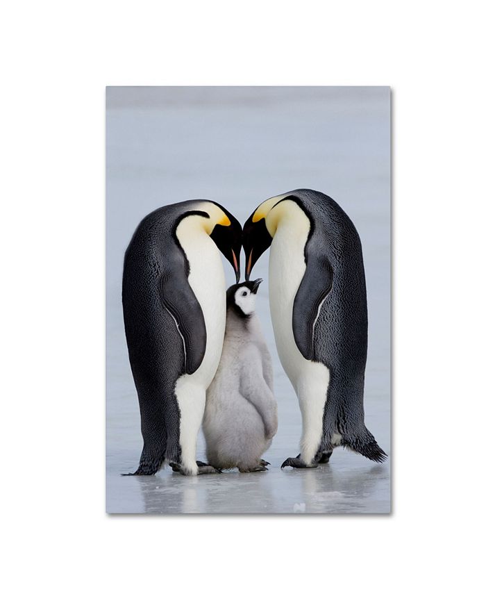 Trademark Global Robert Harding Picture Library 'Two Penguins' Canvas ...