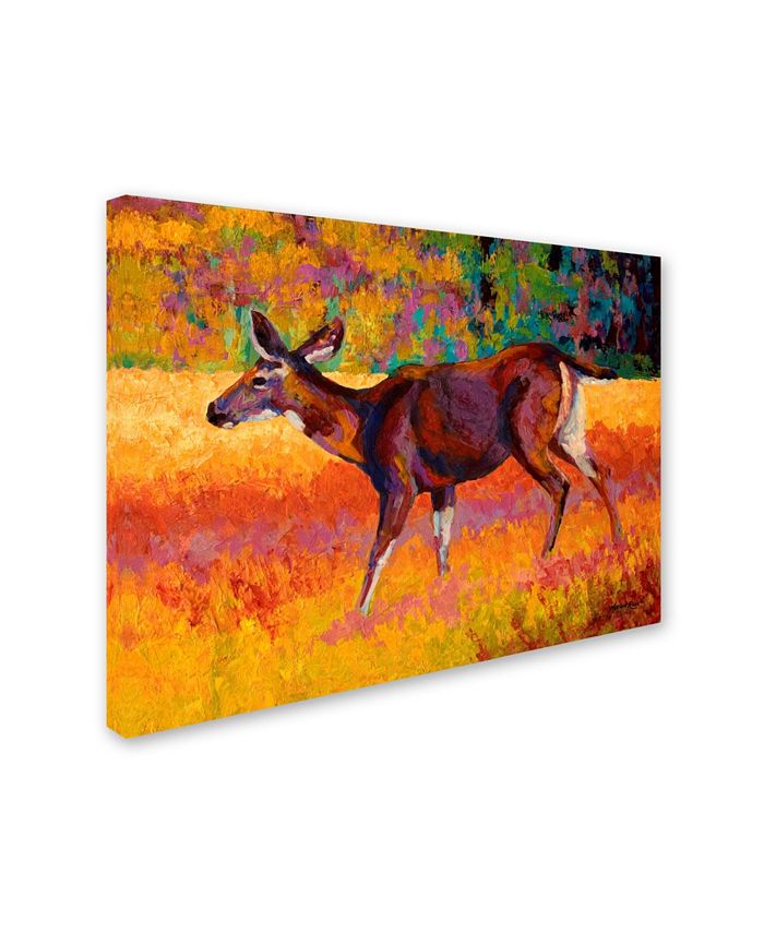 Trademark Global Marion Rose 'Doe I' Canvas Art - 19" x 14" x 2" - Macy's