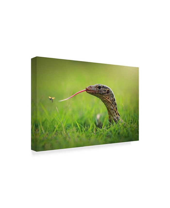 Trademark Global Shikhei Goh 'Lizard Escape' Canvas Art - 19" x 2" x 12 ...