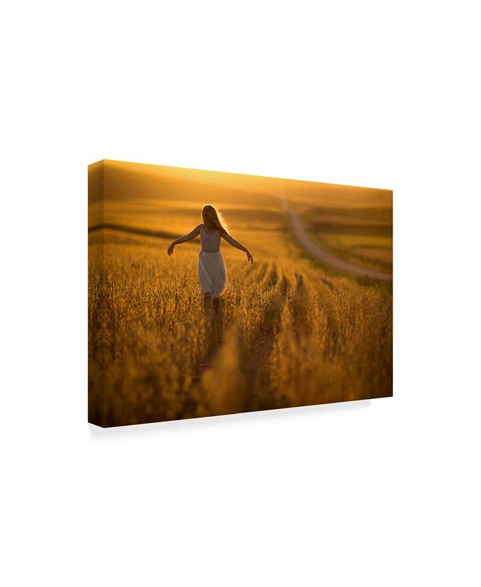 Trademark Global Jake Olson 'Nebraska' Canvas Art - 47" x 2" x 30" - Macy's