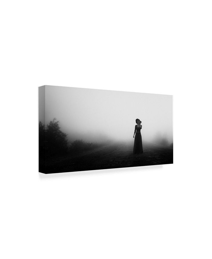 Trademark Global Mikhail Potapov 'White Fog' Canvas Art - 24" x 2" x 12 ...