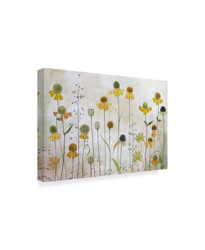 Trademark Global Mandy Disher 'Helenium' Canvas Art - 47" x 2" x 30 ...
