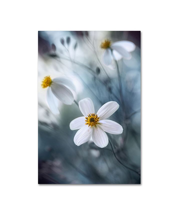 Trademark Global Mandy Disher 'Cosmos' Canvas Art - 47" x 30" x 2" - Macy's