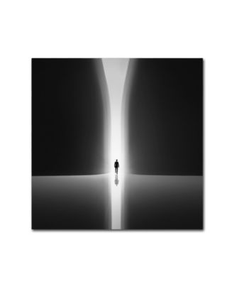 Nadav Jonas 'Rebirth' Canvas Art - 24" x 24" x 2" - Macy's