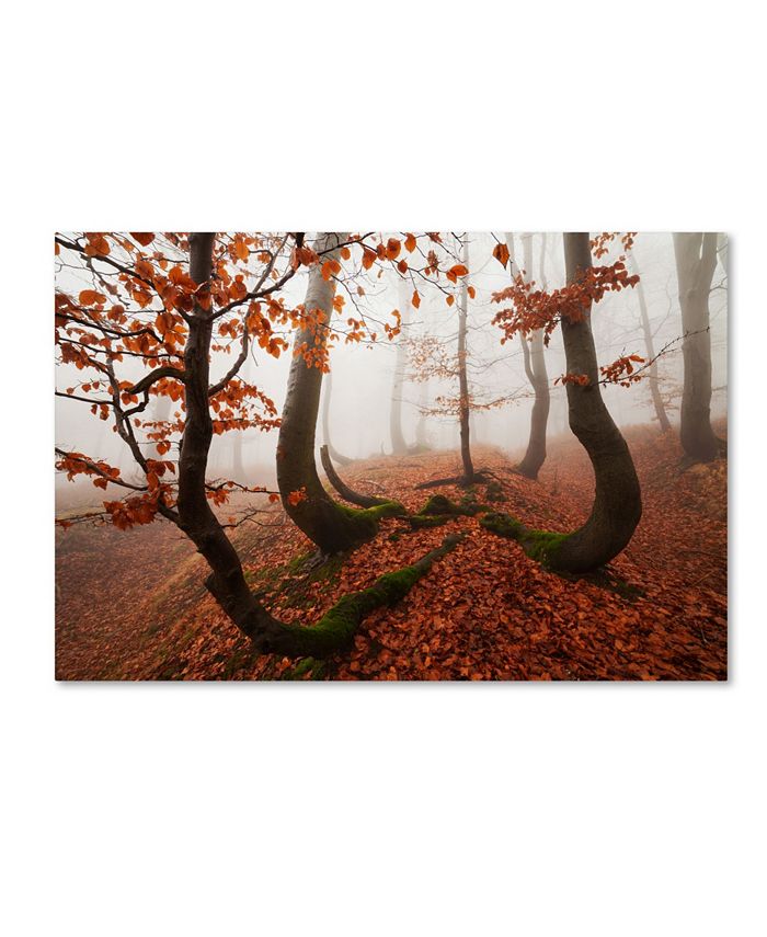 Trademark Global Martin Rak 'Fairytale Forest' Canvas Art - 47" x 30" x ...