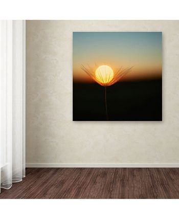 Trademark Global Milan Riha 'Trapped In A Downy Tuft' Canvas Art - 35 ...