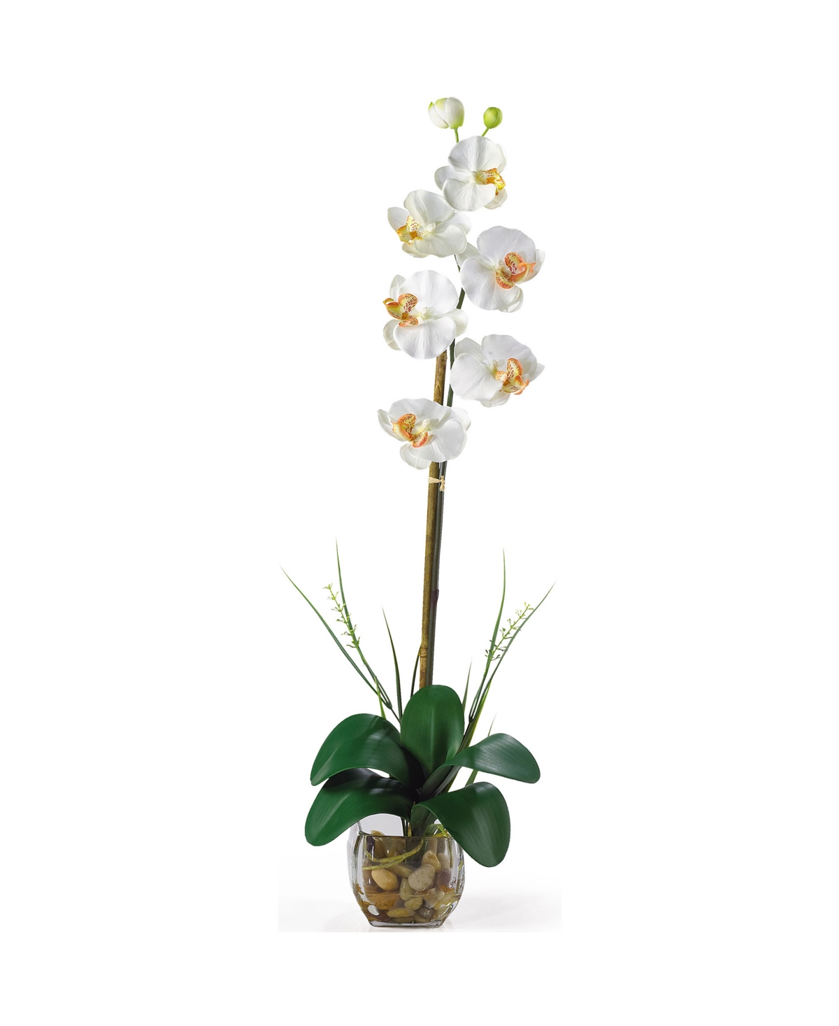 Click here for Nearly Natural Single Phalaenopsis Liquid Illusion... prices