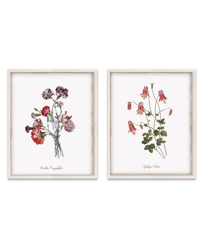 Artissimo Designs Botanical Carnation - Set of 2 - Macy's