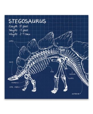 Stegosaurus Dino Blue Print - Macy's