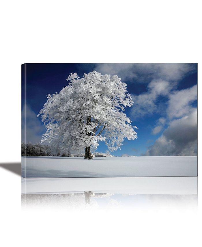 Eurographics White Beech in Black Forest Framed Canvas Wall Art - Macy's