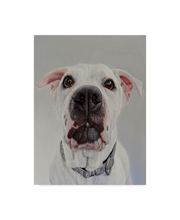 Trademark Global James Ruby 'Katinka' Canvas Art - 24" x 32" - Macy's