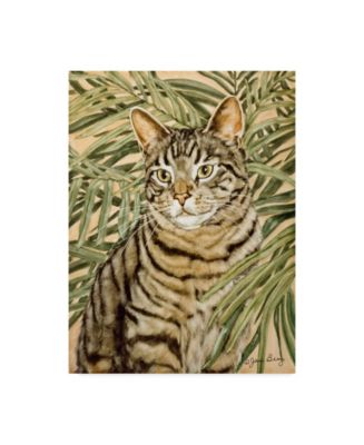 Jan Benz 'Tiger Domestic' Canvas Art - 24" x 32" - Macy's