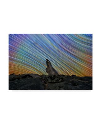 Lincoln Harrison 'Tree Stump Lights' Canvas Art - 24" x 16" - Macy's