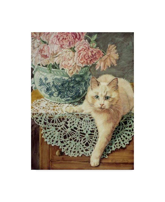 Trademark Global Jan Benz 'Peonies And Lace' Canvas Art - 35" x 47 ...