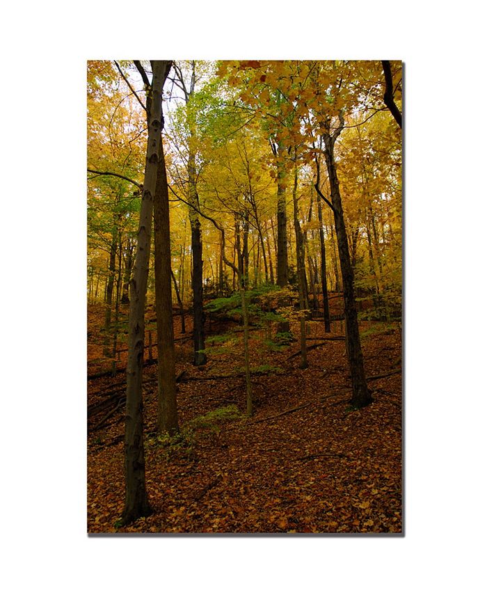 Trademark Global Kurt Shaffer 'Ohio Autumn' Canvas Art - 24" x 16" - Macy's