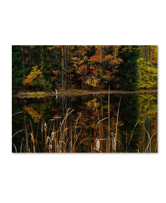 Trademark Global Kurt Shaffer 'Beautiful Memory' Canvas Art - 24" x 16 ...