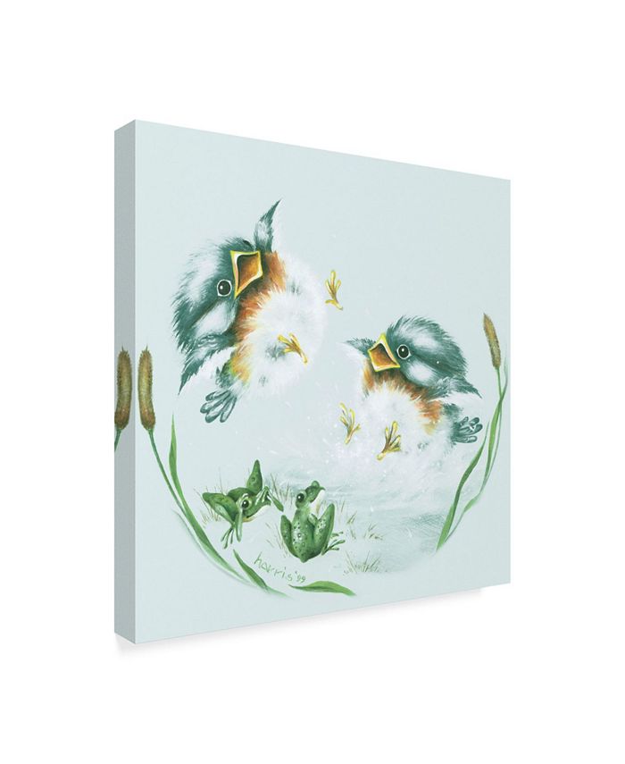 Trademark Global Peggy Harris 'Splish Splash' Canvas Art - 14" x 14 ...