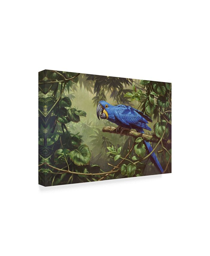 Trademark Global Michael Jackson 'Hyacinth Macaw' Canvas Art - 32" x 22 ...