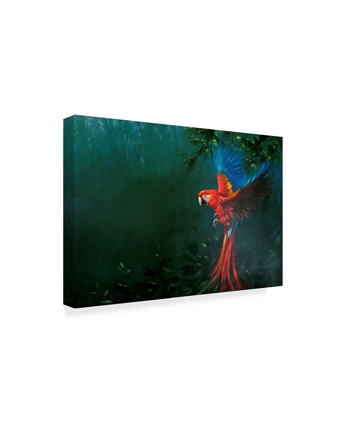 Trademark Global Michael Jackson 'Scarlet Macaw 2' Canvas Art - 32" x ...
