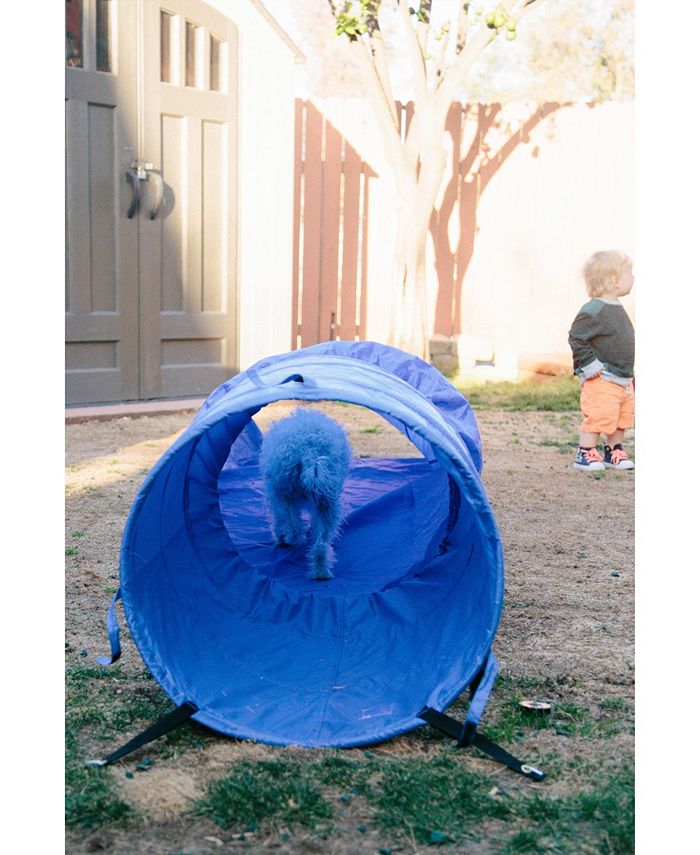 Pacific Play Tents Blue Dog Agility Chute - Macy's