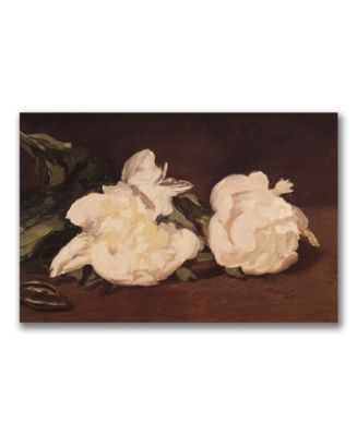 Edouard Manet 'Branch of White Peonies' Canvas Art - 32" x 22" - Macy's