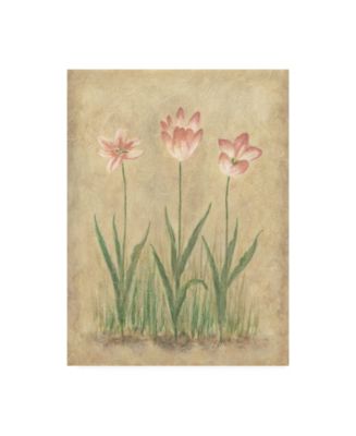 Debra Lake Pink Blooms on Parchment Canvas Art - 19.5" x 26" - Macy's