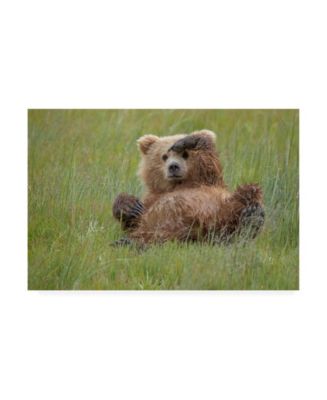 Renee Doyle Whos There Canvas Art - 37" x 49" - Macy's