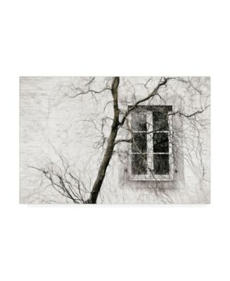 Gilbert Claes Veiled Window Canvas Art - 15" x 20" - Macy's