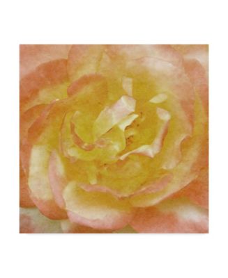 Alonzo Saunders Wall Flower I Canvas Art - 27" x 33" - Macy's