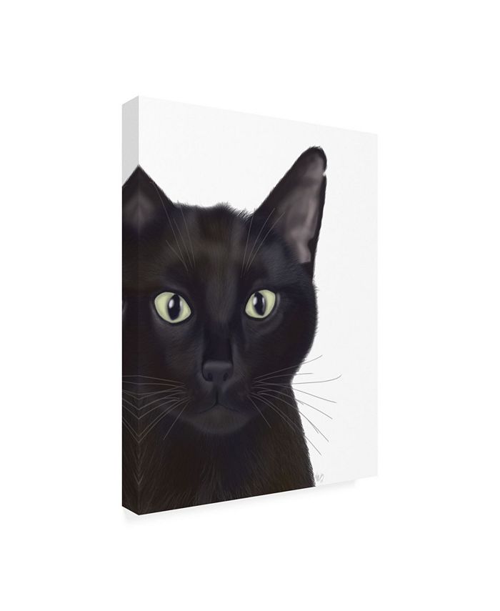Trademark Global Fab Funky Cat, Portrait of Gus Canvas Art - 27" x 33.5 ...