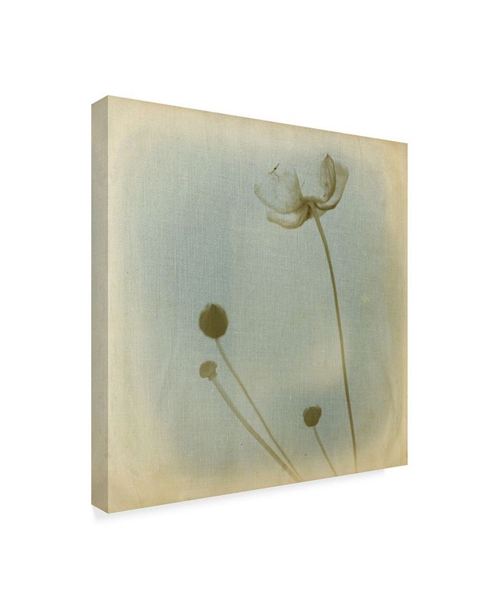 Trademark Global Jennifer Jorgensen Faded Away I Canvas Art - 15" x 20 ...