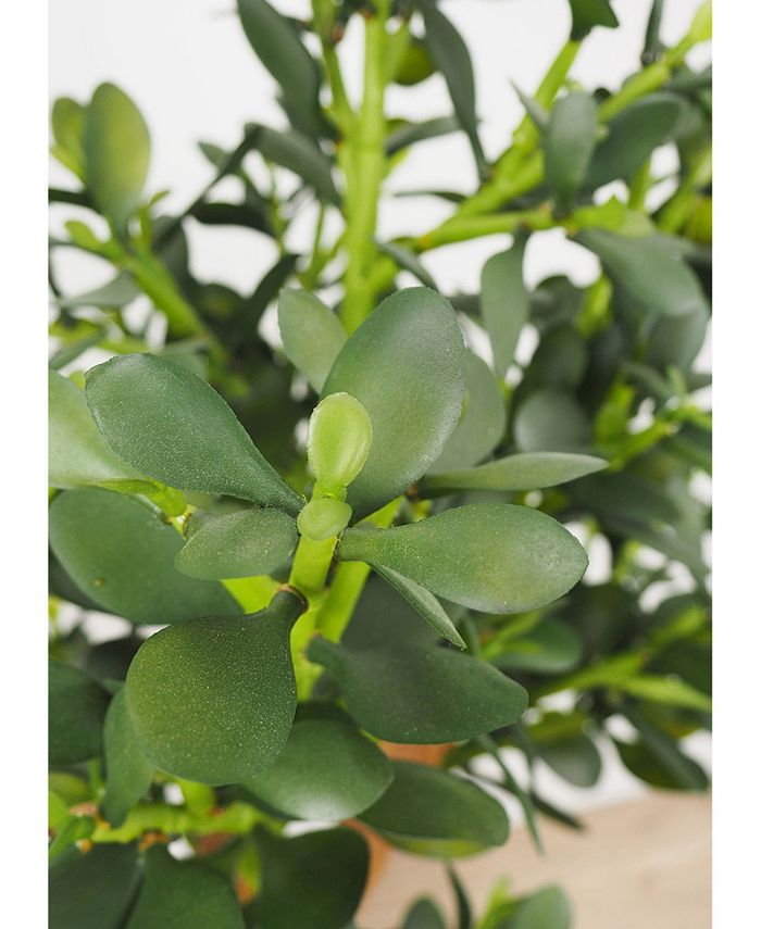 Le Present Artificial Jade Plant 23.6" - Macy's
