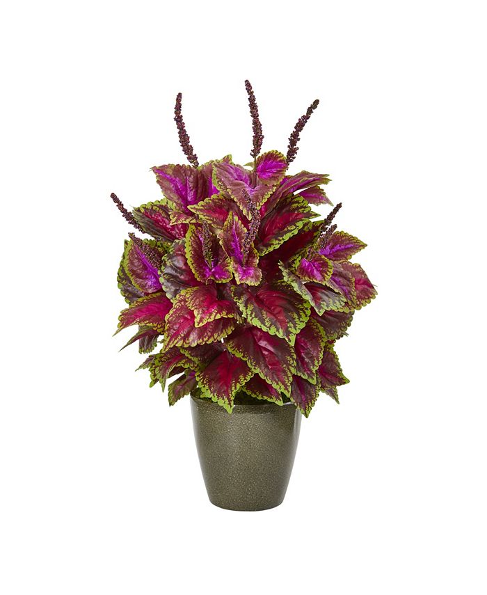 Nearly Natural 31" Coleus Artificial Plant in Green Planter - Macy's