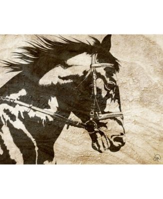 Creative Gallery Obsidian Sandstone Stallion 20" x 16" Canvas Wall Art ...