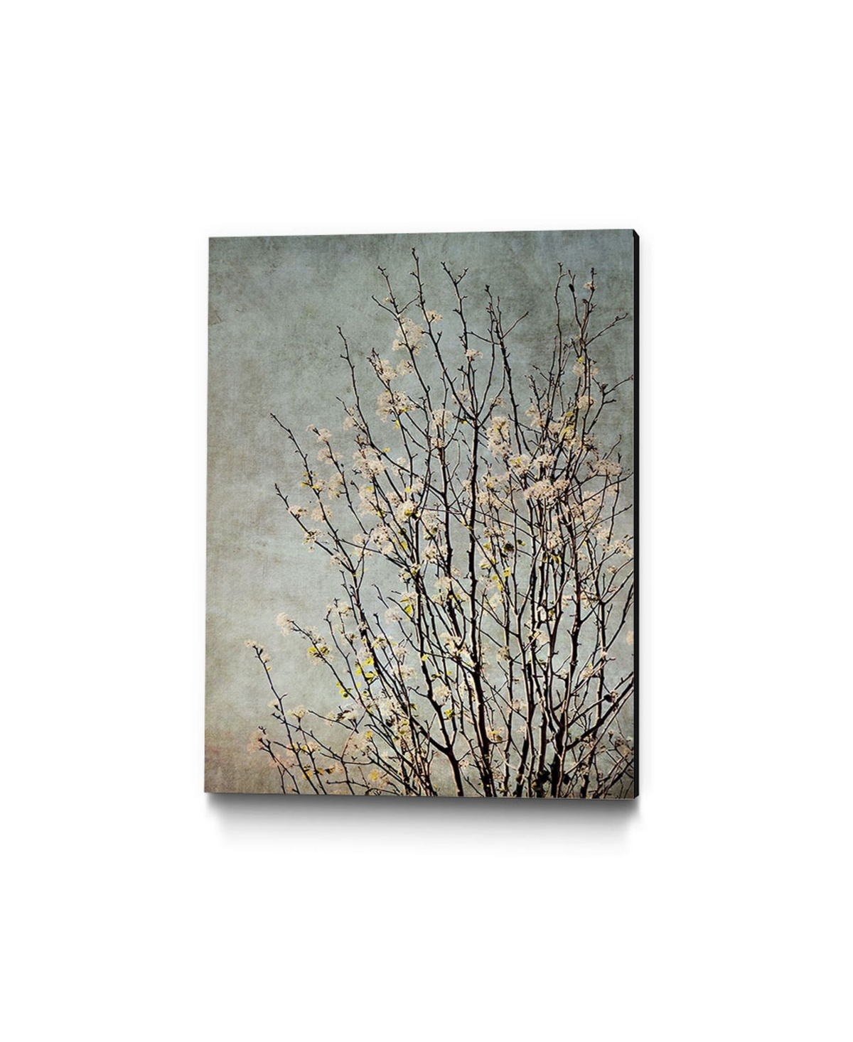 Click here for Giant Art 20 x 16 Tree Ii Museum Mounted Canvas Pr... prices