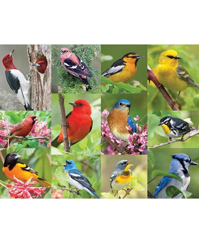 Springbok Puzzles Birds of A Feather 120 Piece Mini Jigsaw Puzzle - Macy's
