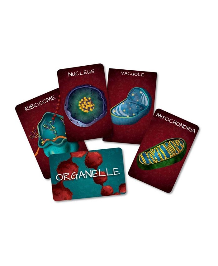 Genius Games Peptide - A Protein Building Educational Learning Game ...