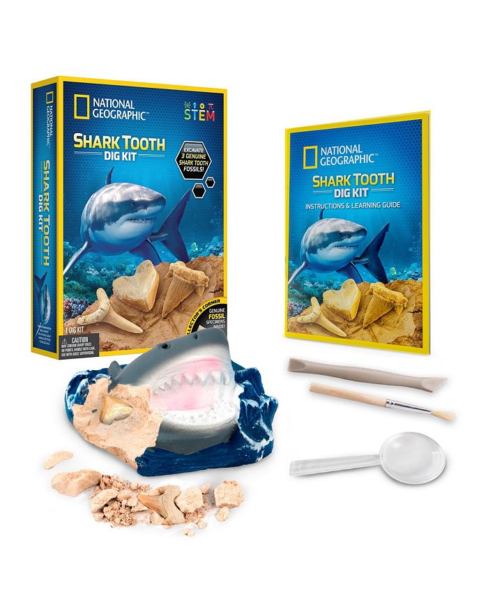 National Geographic Shark Tooth Dig Kit - Macy's