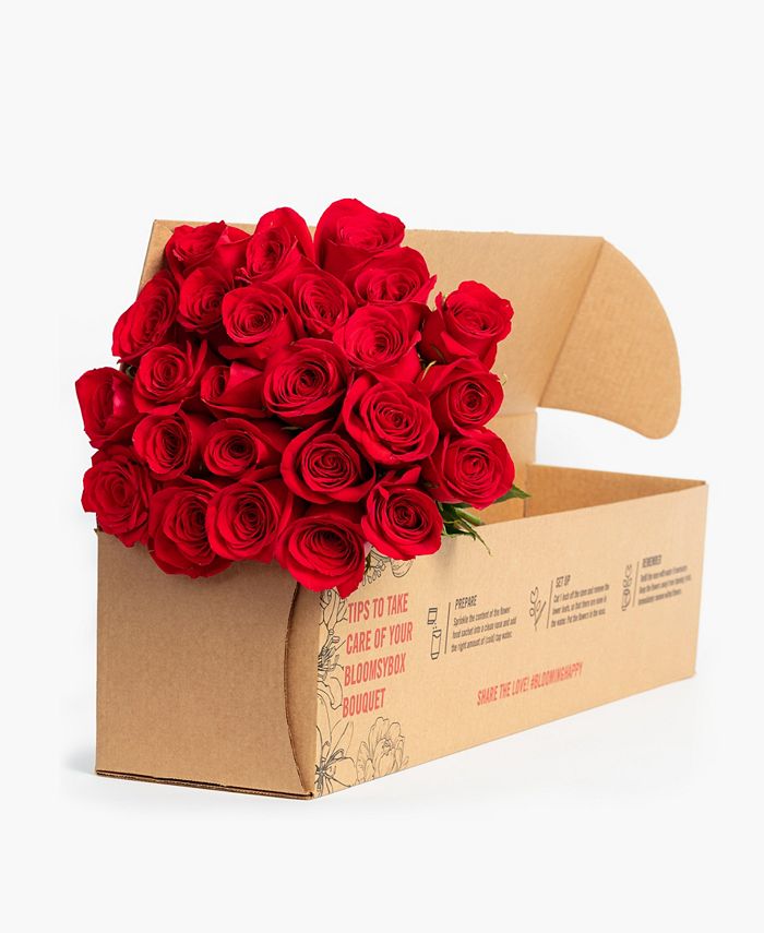 BloomsyBox Two Dozen Red Roses Fresh Flower Bouquet - Macy's
