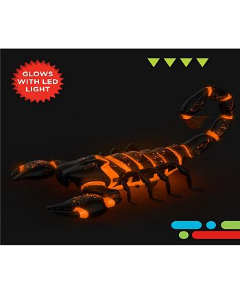 Discovery Kids RC Scorpion, Glow In The Dark Body, Wireless Remote ...
