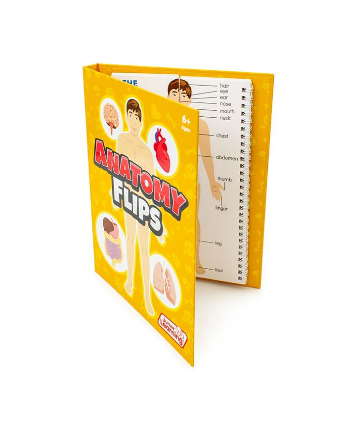 Junior Learning Anatomy Flips Educational Learning Book Macy S