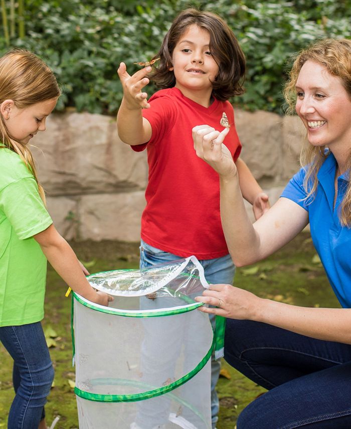Insect Lore STEM Educational Butterfly Life Cycle Growing Kit - Macy's