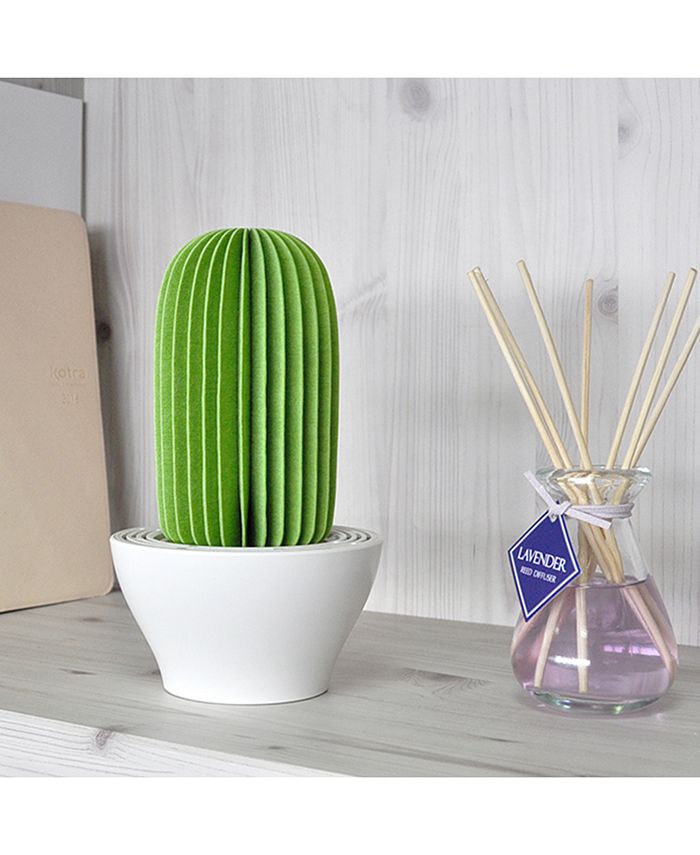 Hitrons Solutions Natural Water Non-Electric Personal Cactus Humidifier ...